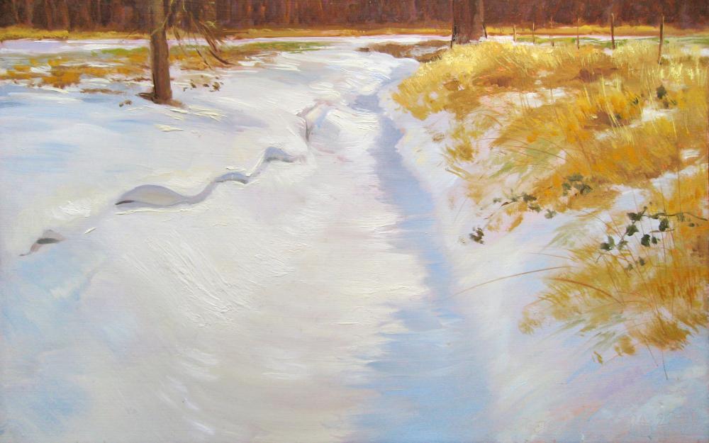 Rutger Hiemstra - Kunstpunt Groningen