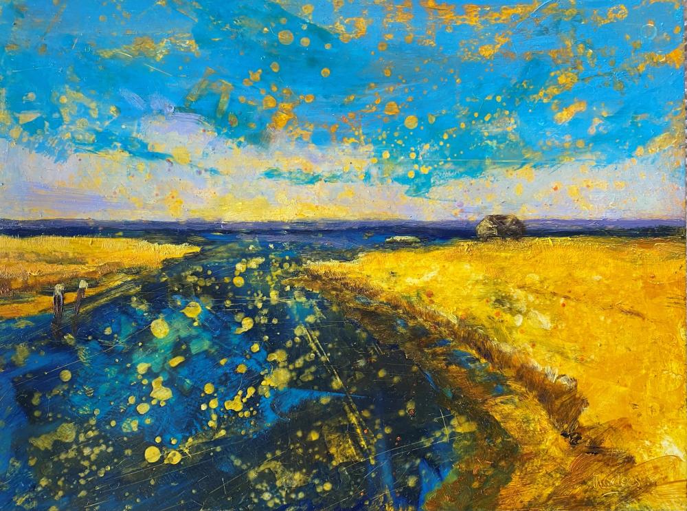 Marloes Buigel Boering - Kunstpunt Groningen
